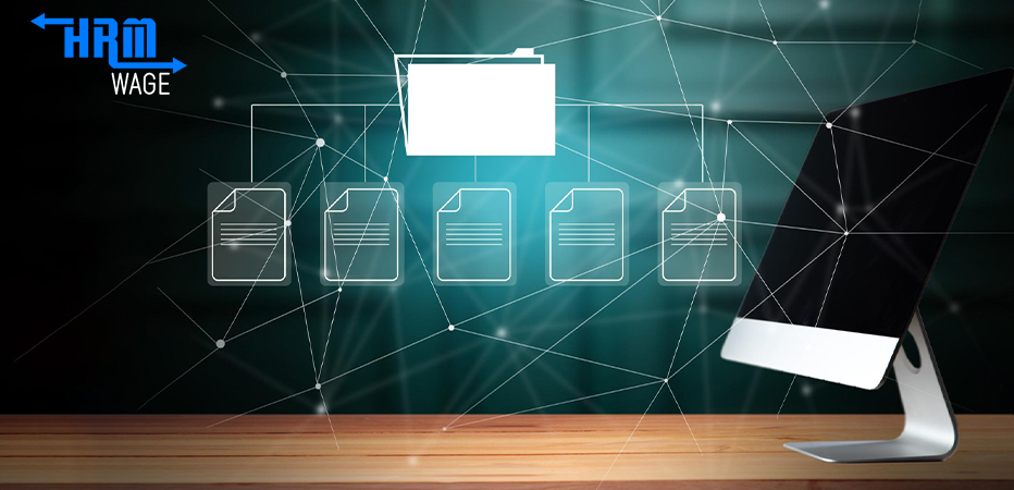 Why You Should Choose HRM Wage Over Other HR Software? - Shrivra Blog ...